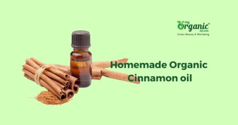Amazing Homemade organic cinnamon oil : How to make & more 2026