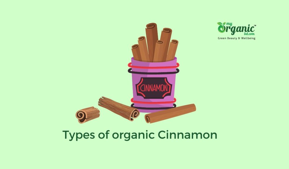 Types of organic cinnamon : A Complete Guide 2026