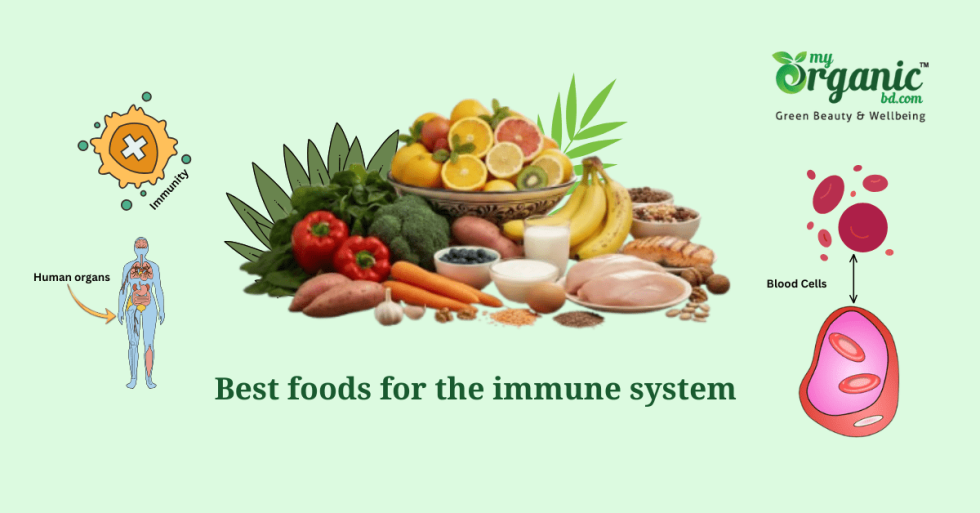 Best foods for Immune System | Healthy Diet & Habits to Enhance ...